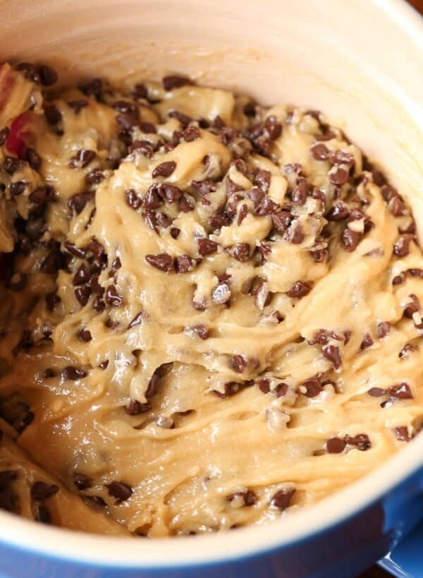 Chocolate Chip Cookie Dunkers | Milk's Favorite Chocolate Chip Cookies