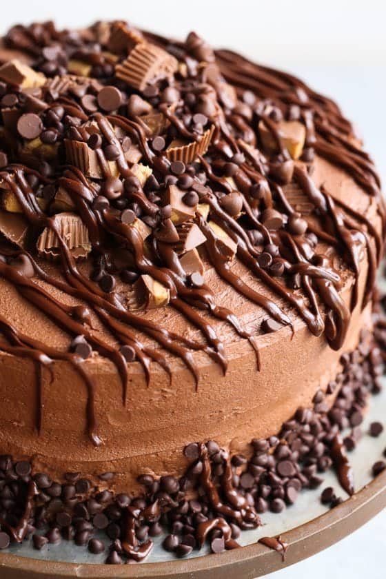 Insane Peanut Butter Cup Cake | A Chocolate Cake Recipe With Frosting