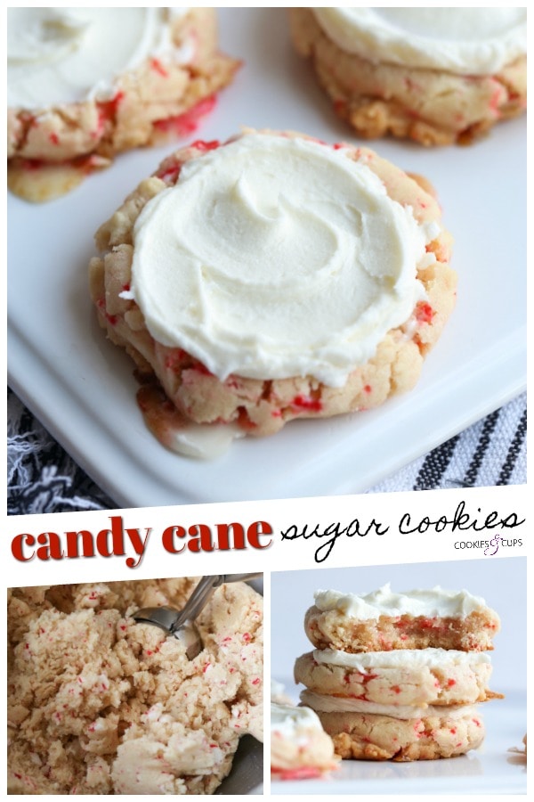 Candy Cane Sugar Cookies | Easy Christmas Cookie Recipe!