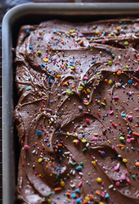 Homemade Cake Mix Recipe - Vanilla and Chocolate Variations!