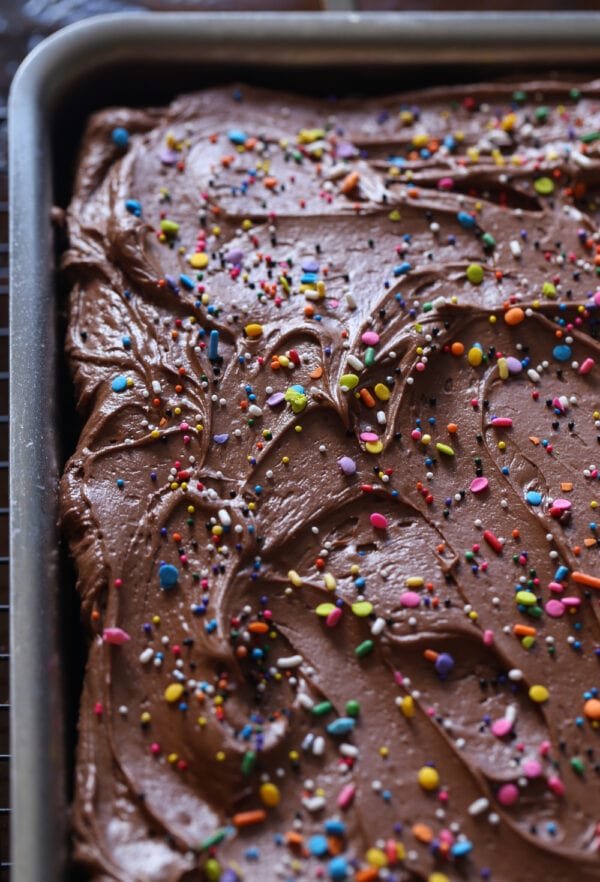 Homemade Cake Mix Recipe - Vanilla and Chocolate Variations!