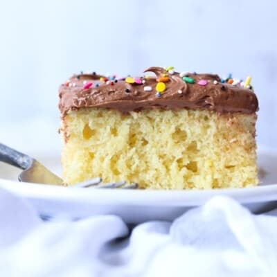Homemade Cake Mix Recipe - Vanilla and Chocolate Variations!